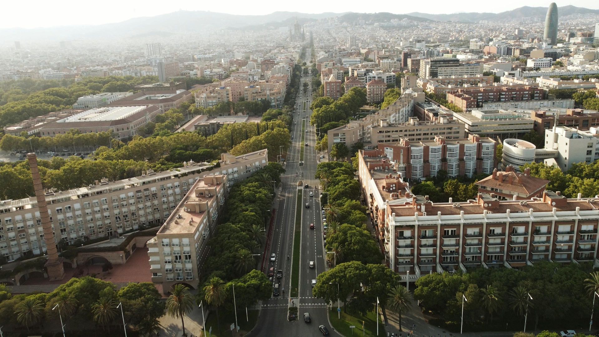 Think You Know Which Car Rules Which Street? Prove It By Guessing The ...