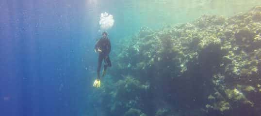 Deep Facts About The Oceans - Factinate