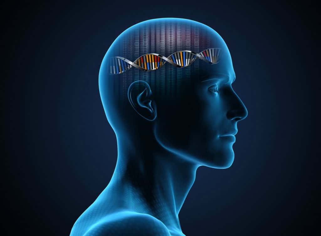 Mind Bending Facts About Human Psychology