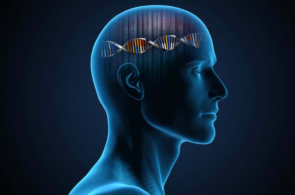 Mind Bending Facts About Human Psychology - Factinate