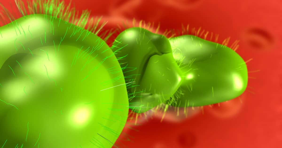 Neuron-Popping Facts About The Human Brain - Factinate