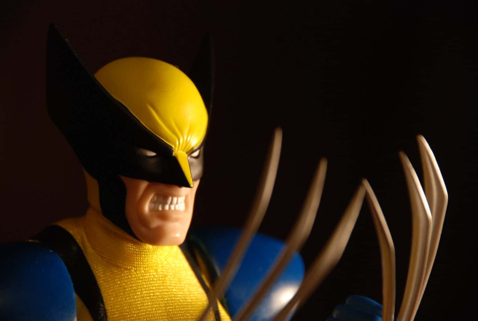 Indestructible Facts About Wolverine