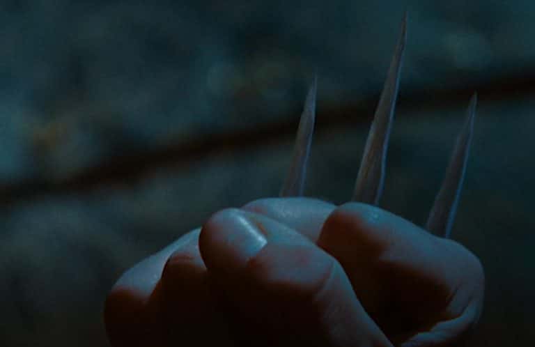 Indestructible Facts About Wolverine