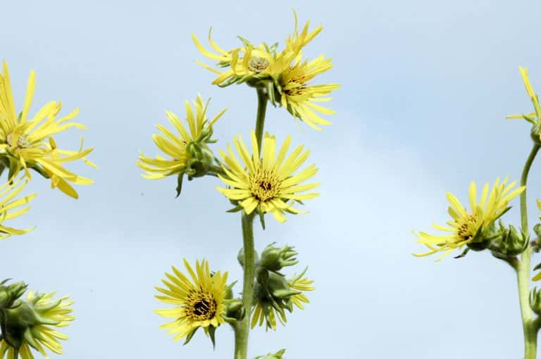 45 Strange Facts That Prove History Is Completely Bizarre