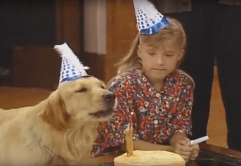 Little Known Facts About Full House