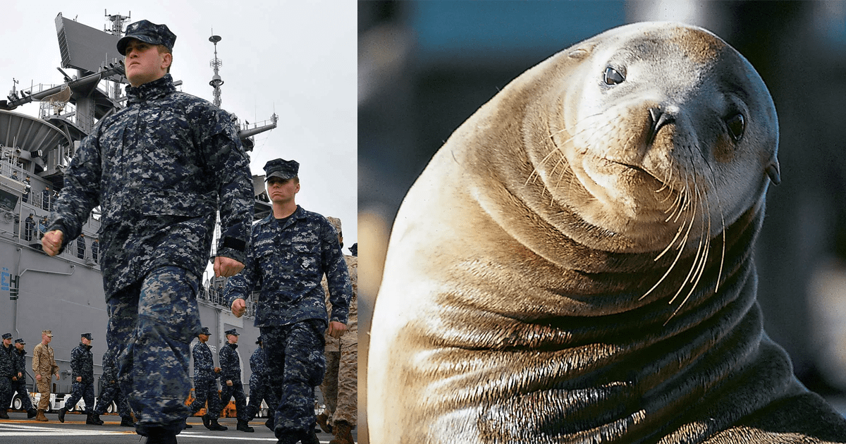 Facts About The US Armed Forces