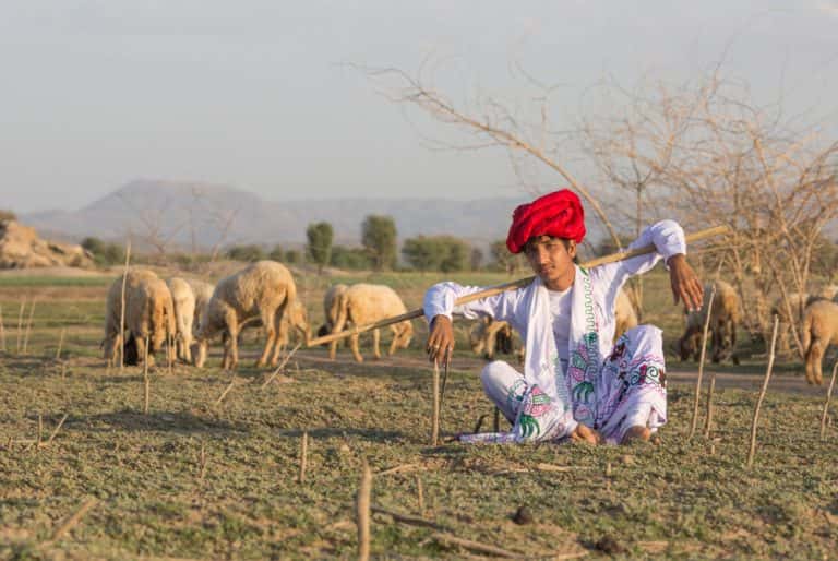 Facts About Common Expressions And Sayings