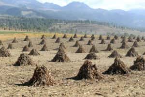 Golden Facts About The Aztec Civilization - Factinate