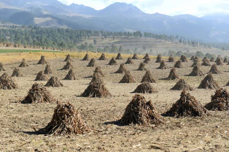 Golden Facts About The Aztec Civilization