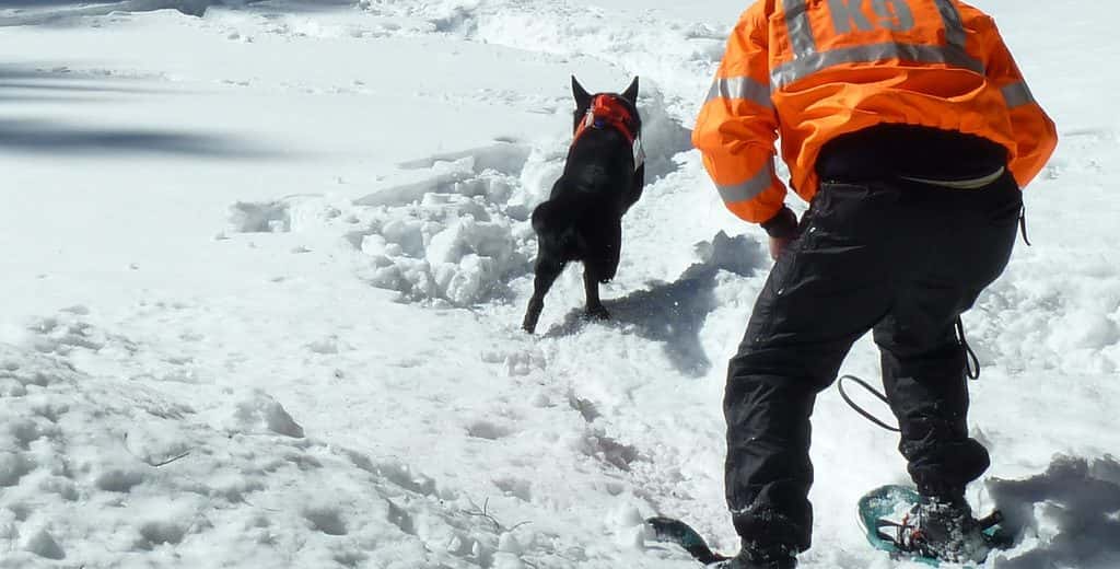 Earth-Shaking Facts About Natural Disasters - Factinate