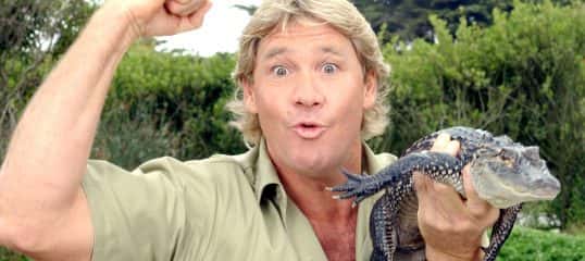 Wild Facts About Steve Irwin, The Crocodile Hunter - Factinate