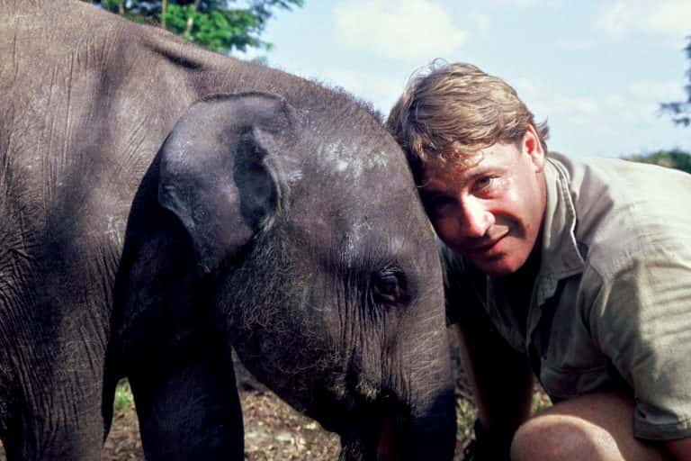 Steve Irwin, The Crocodile Hunter