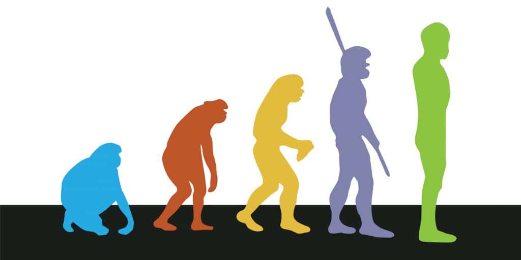 43 Wild Facts About Human Evolution - Factinate