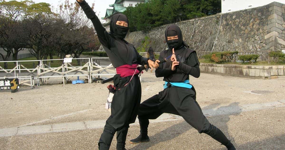 Sneaky Facts About Ninjas, Japan's Hidden Warriors - Factinate
