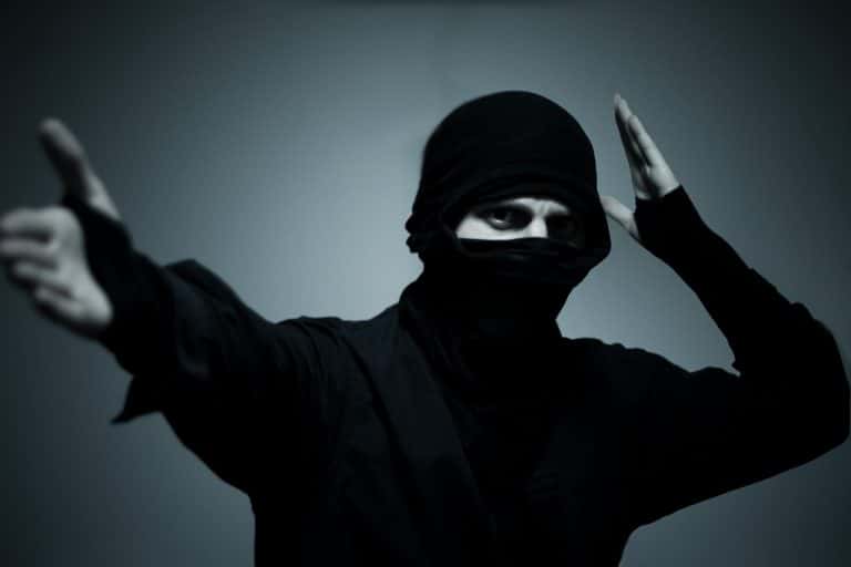 Sneaky Facts About Ninjas, Japan's Hidden Warriors