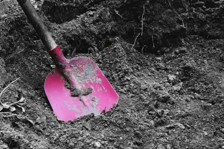 These Scary Facts Haunt Our Nightmares