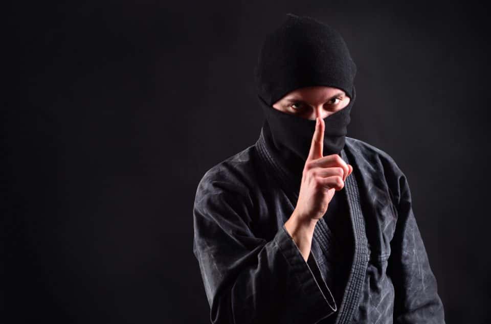 Sneaky Facts About Ninjas, Japan's Hidden Warriors