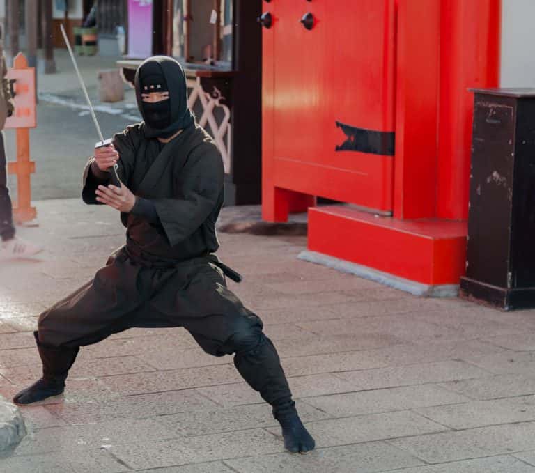 Sneaky Facts About Ninjas, Japan's Hidden Warriors