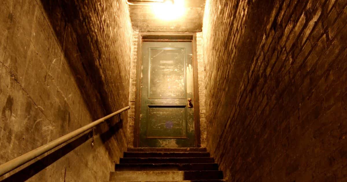 25 Twisted Facts About Creepy Things Found In Real-Life Basements ...