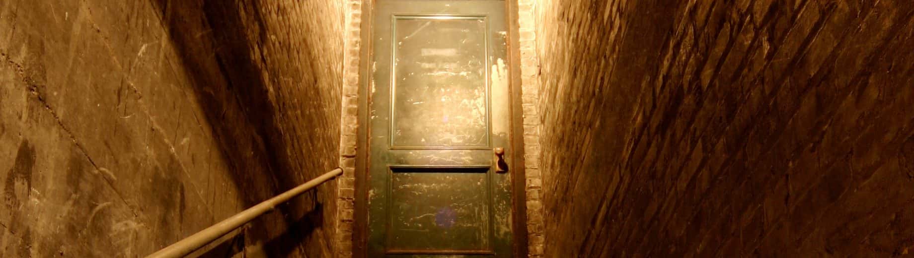 25 Twisted Facts About Creepy Things Found In Real-Life Basements ...