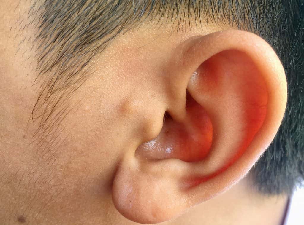 Facts About The Strangest Battles In History