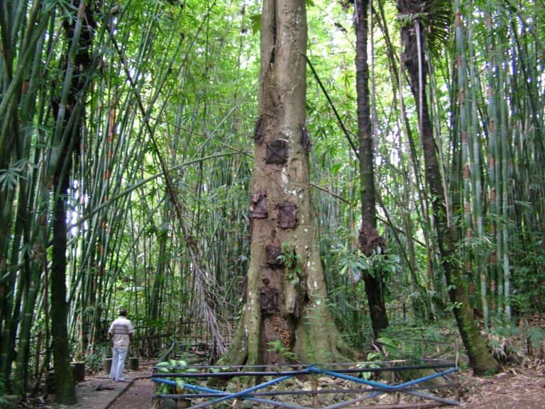 Facts About Strange Burial Customs Around The World