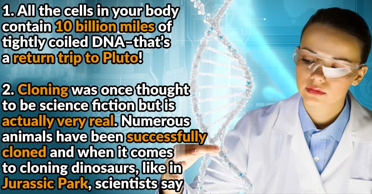 Fascinating Facts About DNA