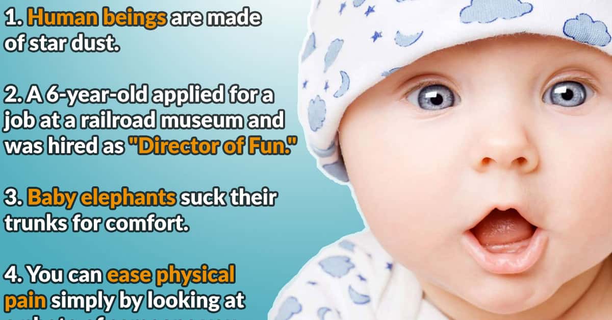 Silly And Happy Facts For People That Like To Smile