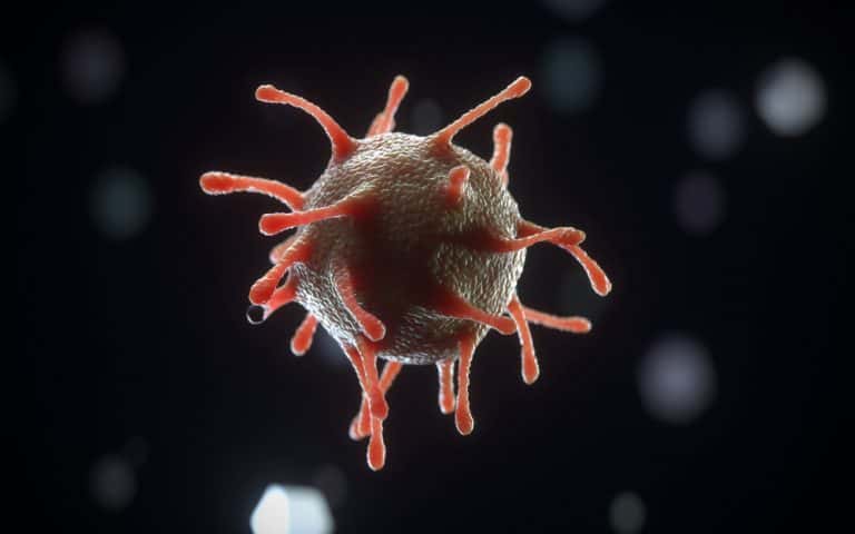 Fascinating Facts About DNA