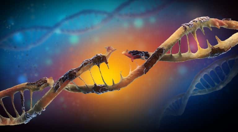 Fascinating Facts About DNA