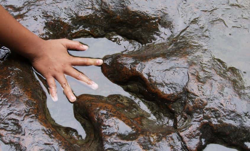 Mind-Bending Facts About Anything And Everything - Factinate