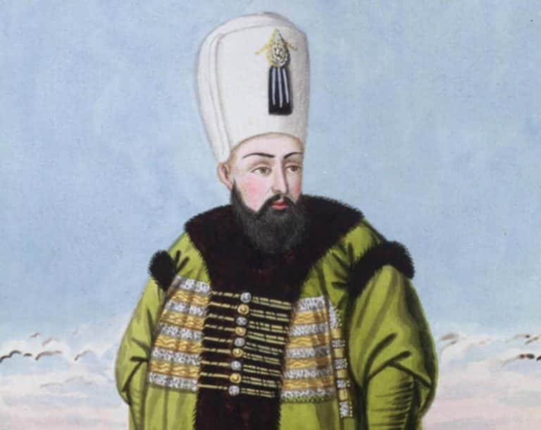 Unveiled Facts About Harems