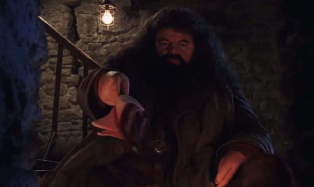 20 Larger Than Life Facts About Rubeus Hagrid - Factinate