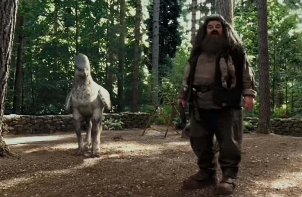 20 Larger Than Life Facts About Rubeus Hagrid