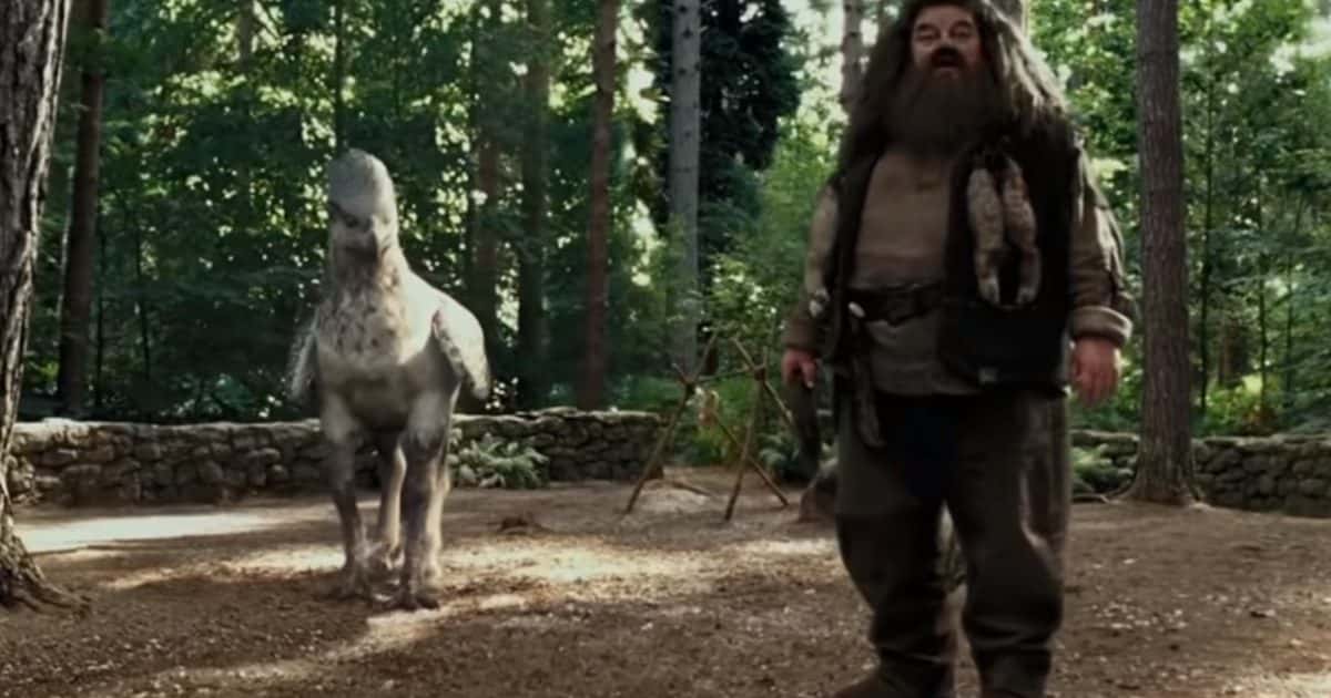 20 Larger Than Life Facts About Rubeus Hagrid - Factinate