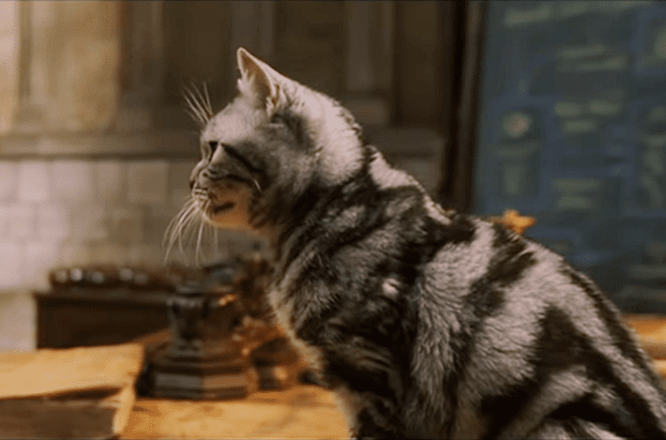 Transfigured Facts About Professor Minerva McGonagall - Factinate