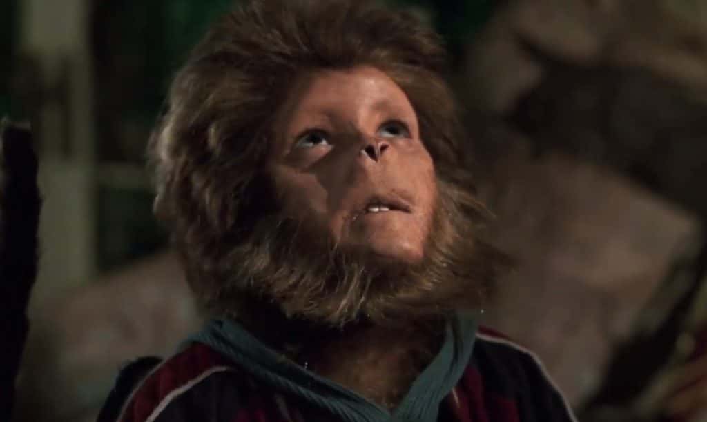 Tropical Facts About Jumanji