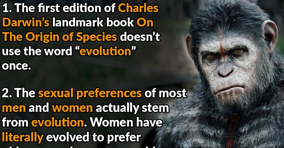 Adaptive Facts About Evolution