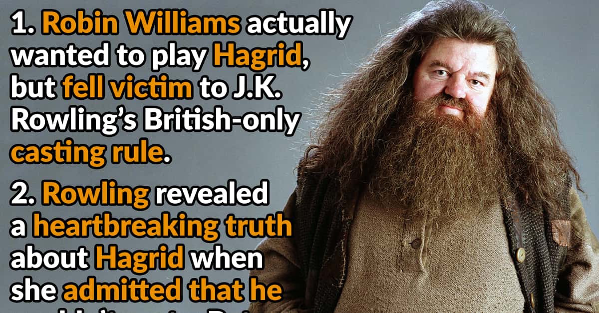 20 Larger Than Life Facts About Rubeus Hagrid