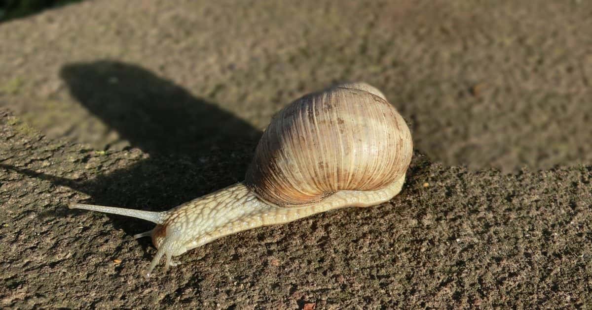 26 Bone-Chilling Facts That You Can't Unlearn - Factinate