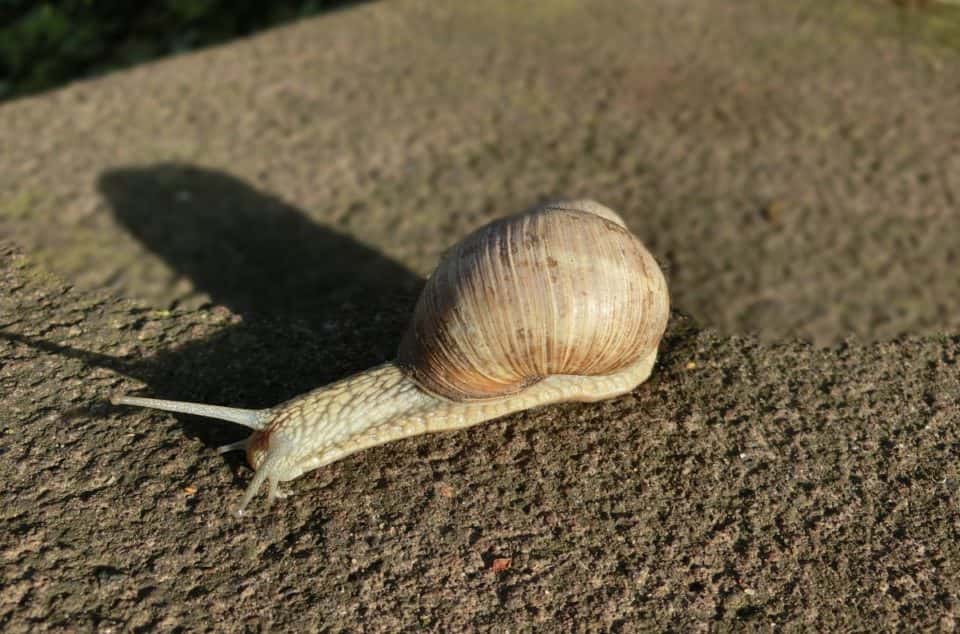 26 Bone-Chilling Facts That You Can't Unlearn - Factinate