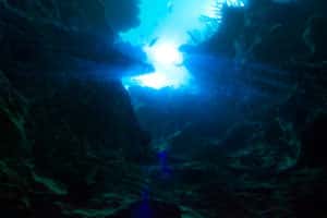 Terrifying Ocean Facts That Will Make You Re-think Ever Swimming Again