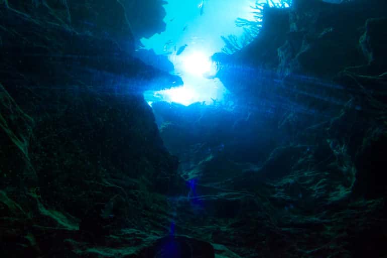 Terrifying Ocean Facts That Will Make You Re-think Ever Swimming Again