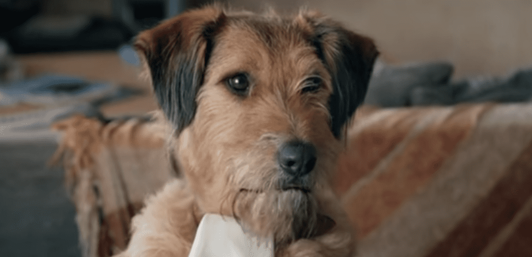 37 Hilarious and Heartwarming Facts About Robin Williams Films - Factinate