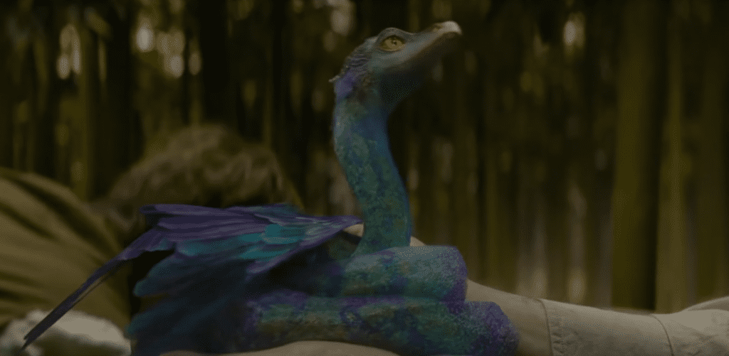 Magical Facts About Fantastic Beasts And Where To Find Them