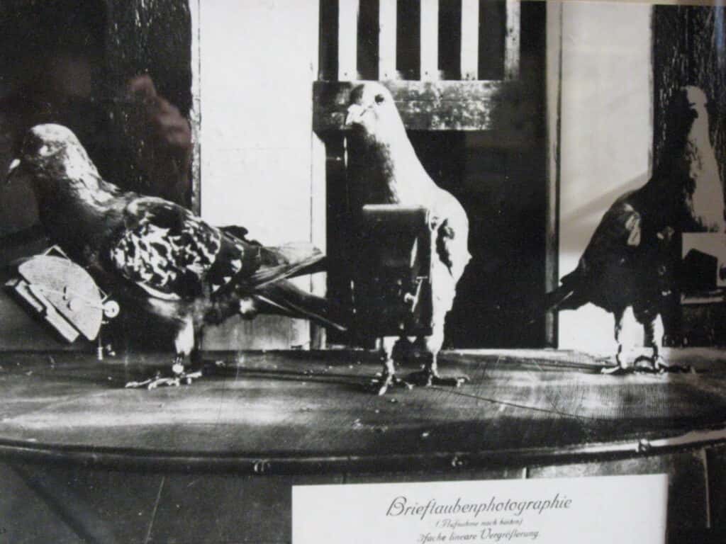 23 Enigmatic Facts About Secret Codes and Ciphers