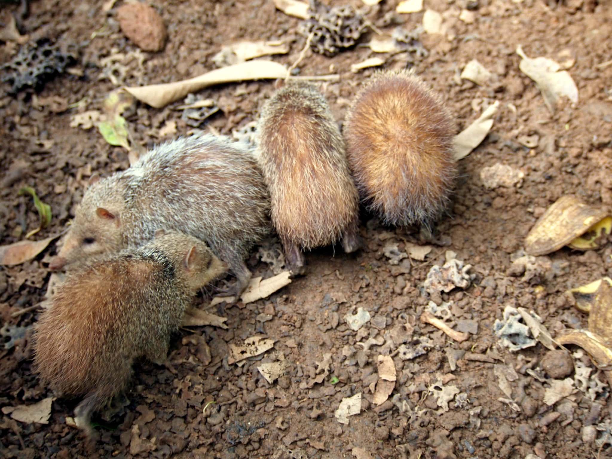 42 Maternal Facts About Motherhood