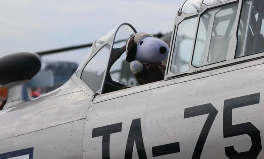 High-Flying Facts About History's Greatest Fighter Pilots - Factinate