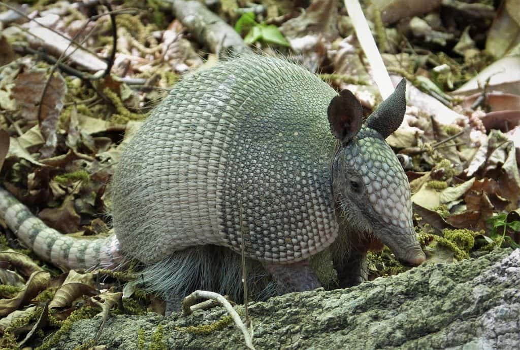 42 Facts That Every Real Science Buff Should Know