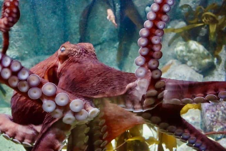 42 Facts That Every Real Science Buff Should Know